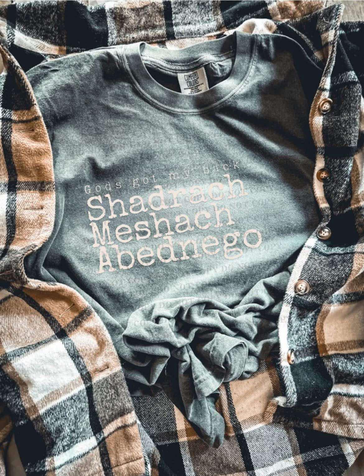 God's got my back Shadrach Meshach Abednego- Comfort Color – D&EC Wholesale